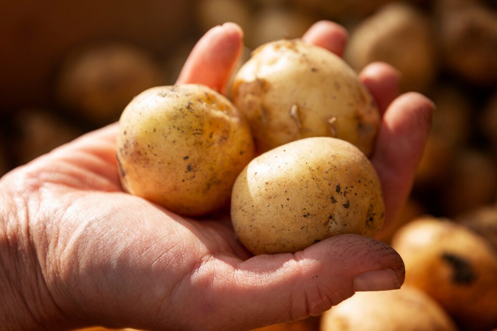How to Know if Potatoes Are Bad: Tips for Freshness and Safety | The ...